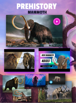 Did you enjoy Glogster? You will love Canvastera!