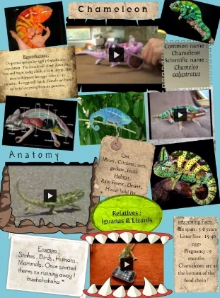 Craft multimedia posters on canvastera.com